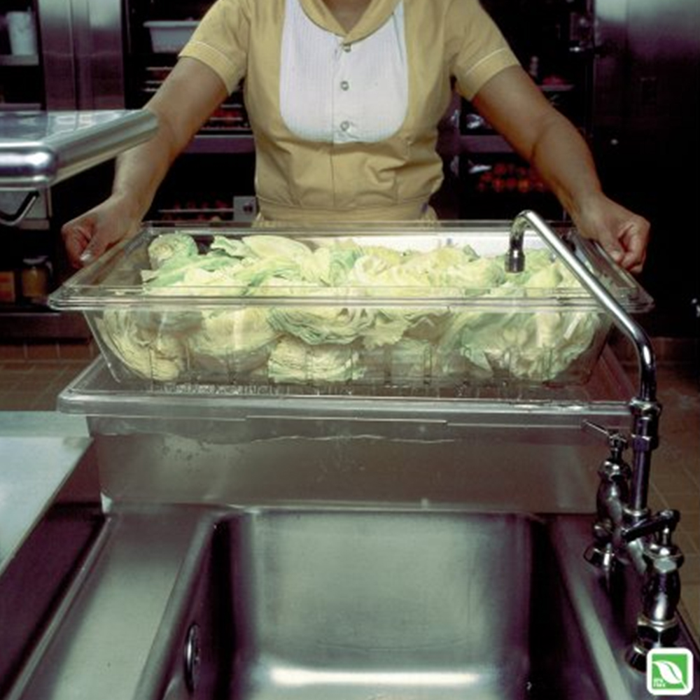 กล่องใส่อาหารแบบใส มีรูระบายน้ำ Food Box Colander